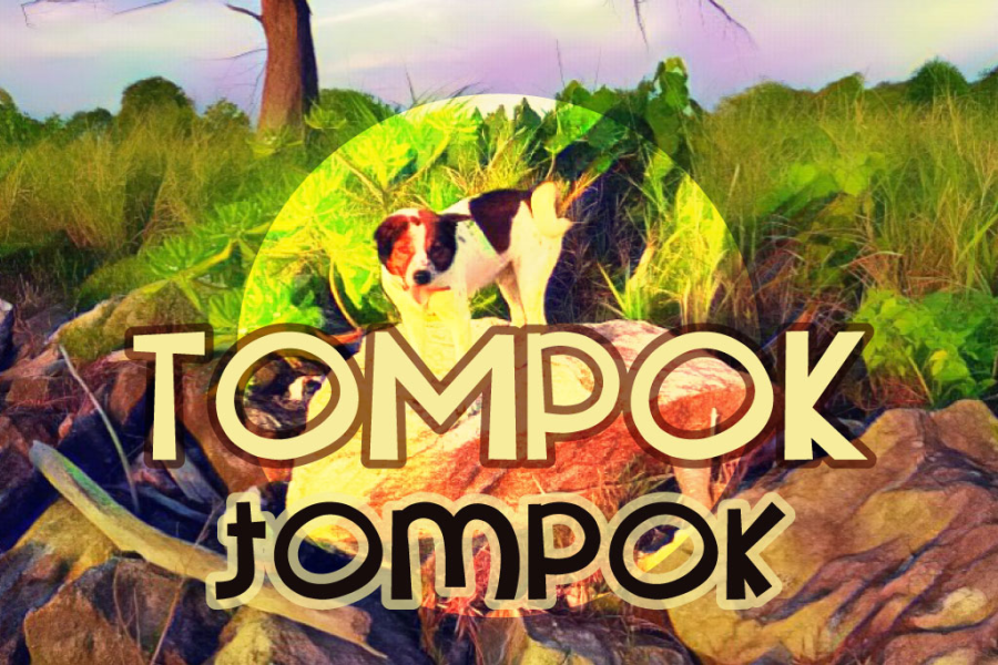 Tompok Font · 1001 Fonts