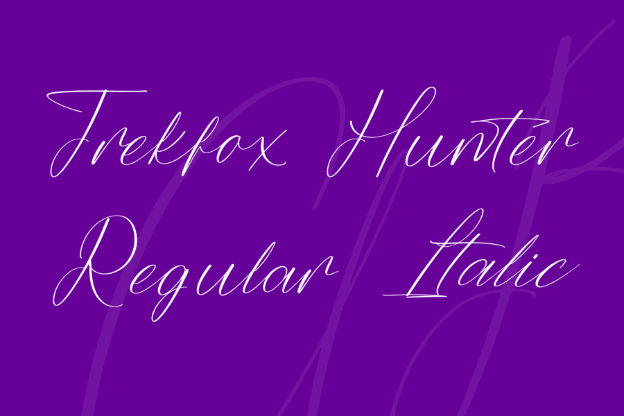 Trekfox Hunter Font Family · 1001 Fonts