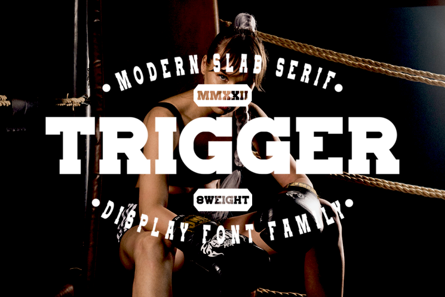 Trigger Demo Font · 1001 Fonts