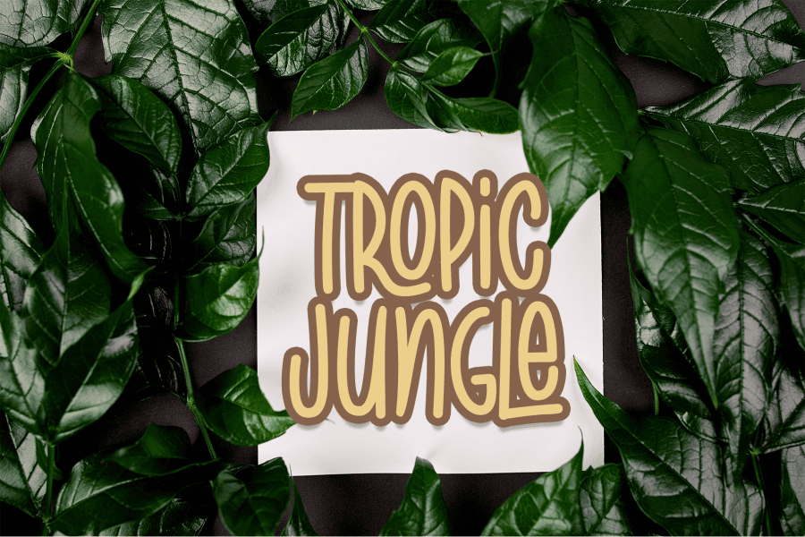 Tropic Jungle Font · 1001 Fonts