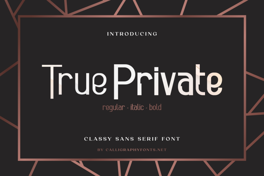 True Private Demo Font Family · 1001 Fonts