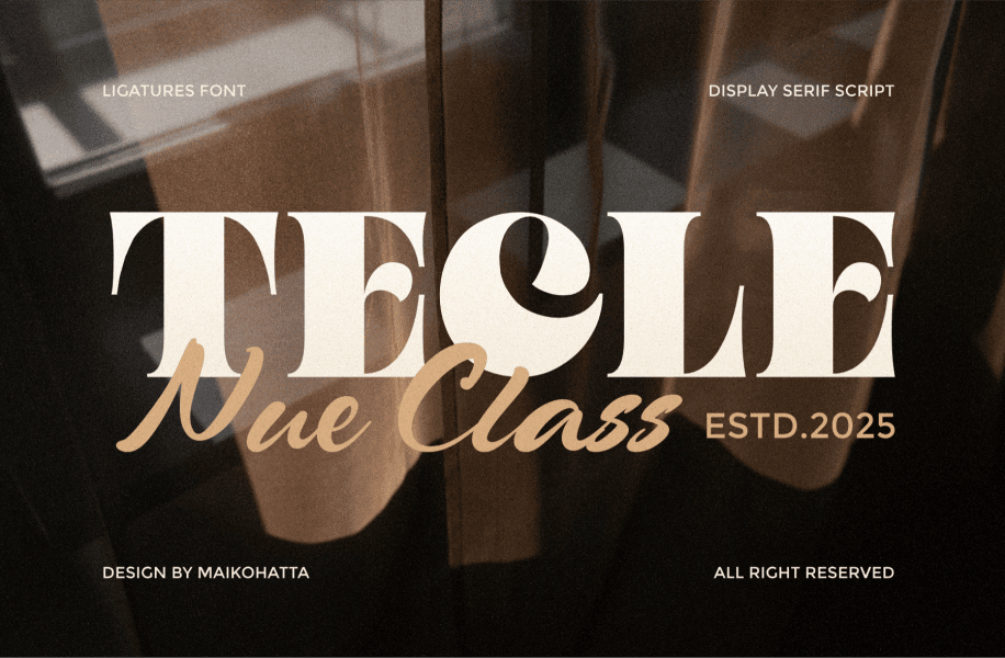 T Font Family · 1001 Fonts