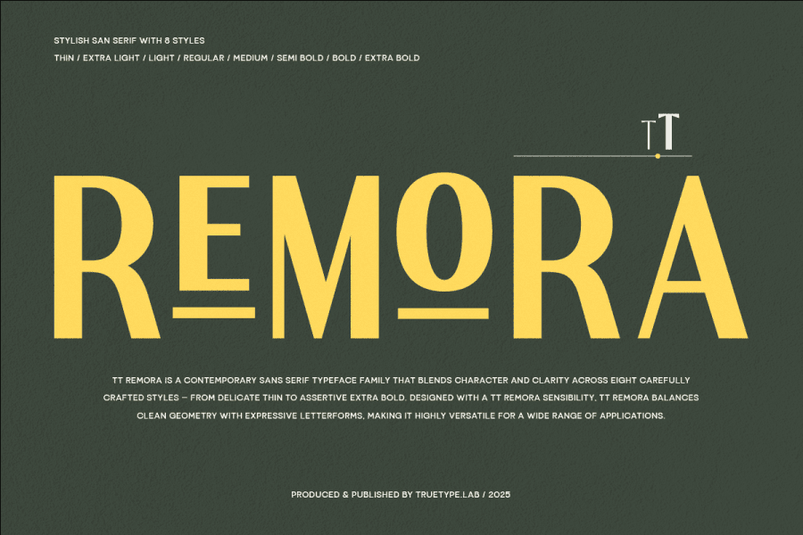 TT Remora Mini Edition Font Family · 1001 Fonts