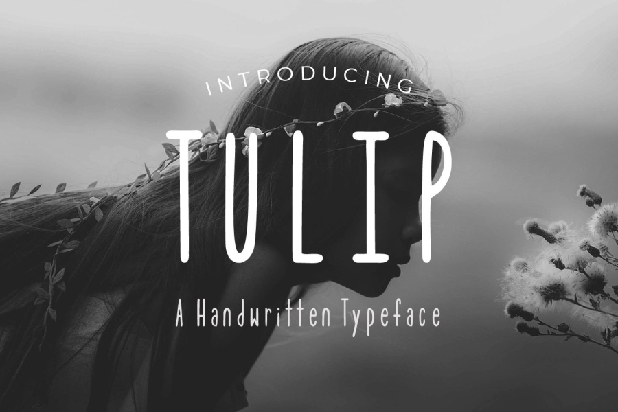Tulip Font · 1001 Fonts