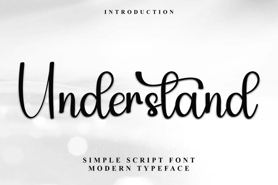 Understand Beautiful Font · 1001 Fonts