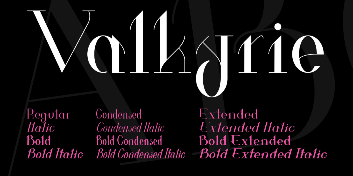 Valkyrie Font Family · 1001 Fonts
