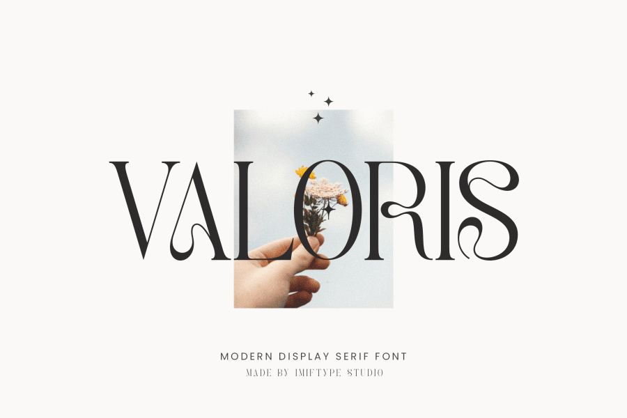 Valoris Font · 1001 Fonts