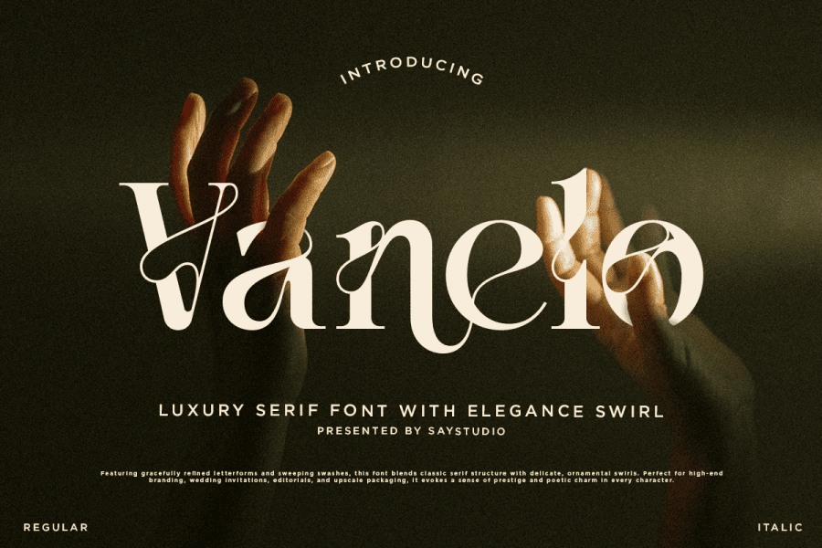 Vanelo DEMO Font · 1001 Fonts