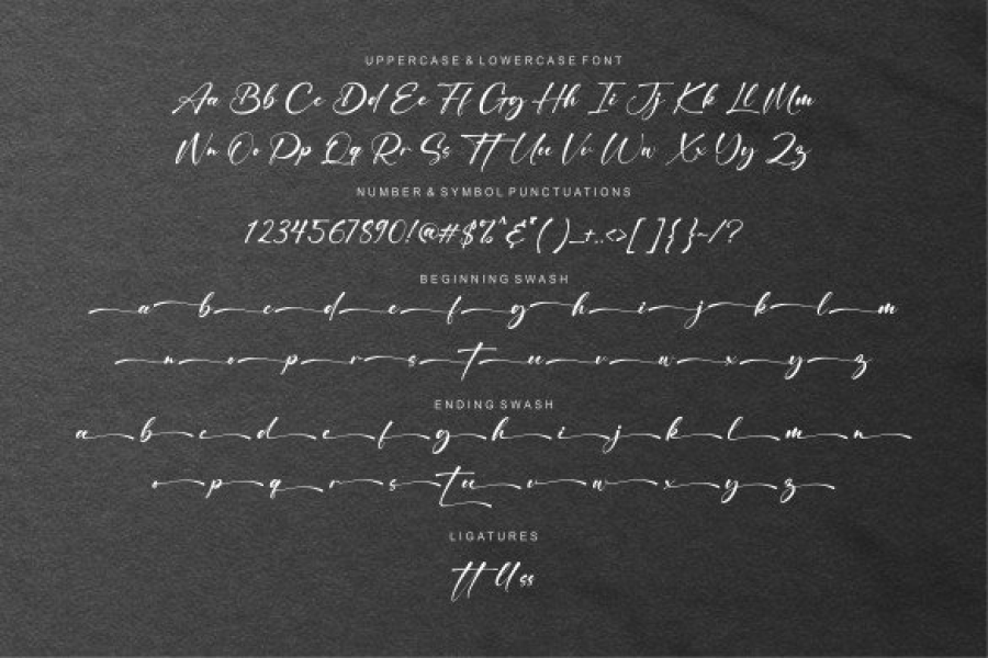 Vellaming Font · 1001 Fonts