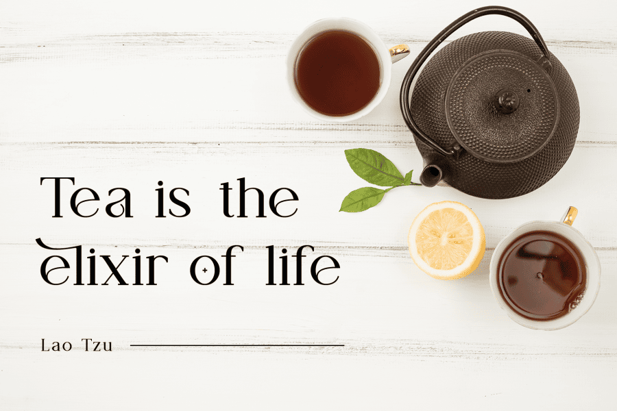 Vendya Font · 1001 Fonts