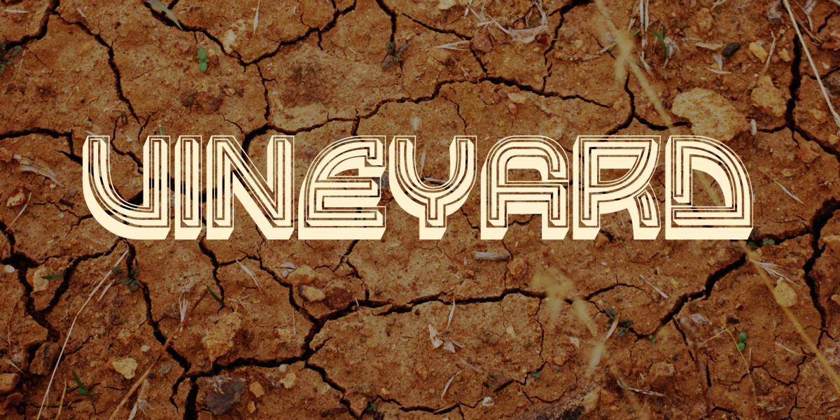 Vineyard Font Family · 1001 Fonts