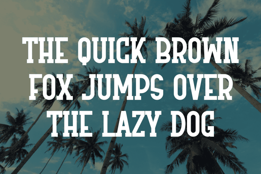 Vintage Summer Font · 1001 Fonts