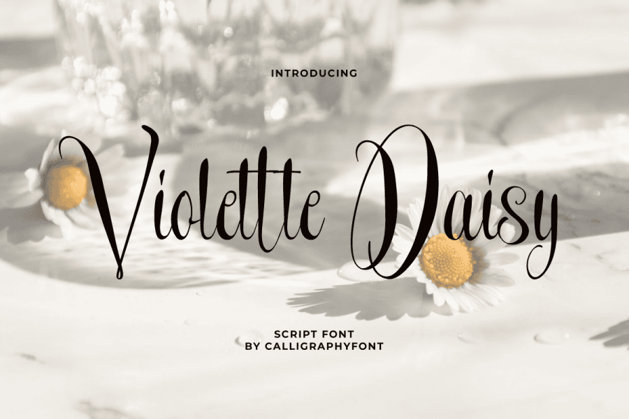 Violette Daisy Demo Font · 1001 Fonts