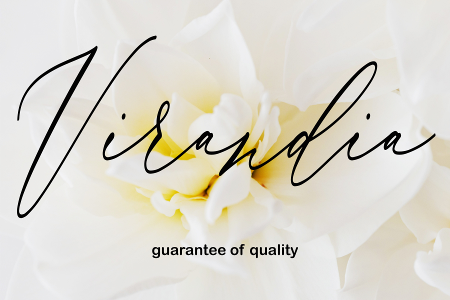 Virandia Font · 1001 Fonts