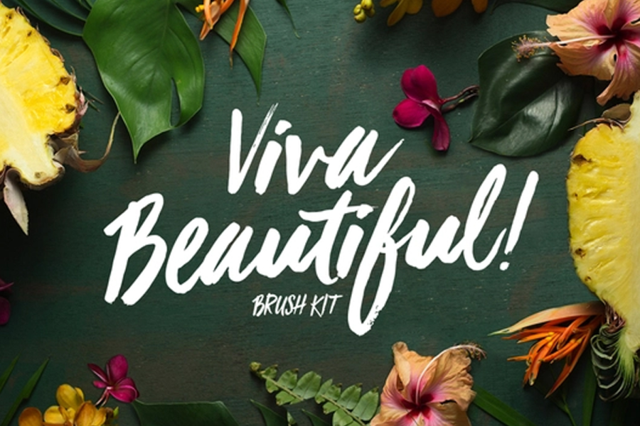 Viva Beautiful Font · 1001 Fonts