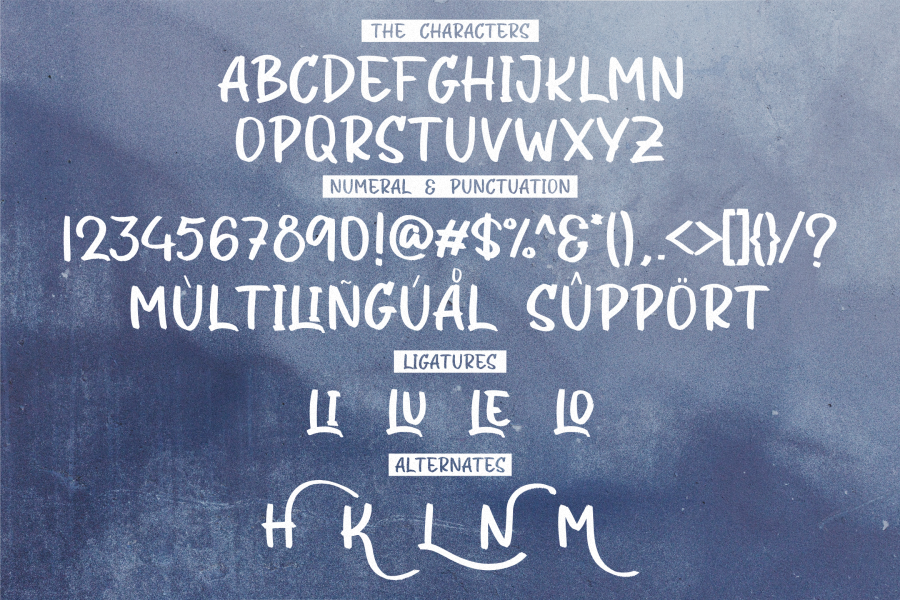 Vivacily Font · 1001 Fonts