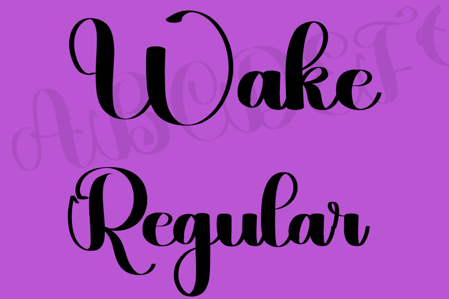 Wake Font · 1001 Fonts