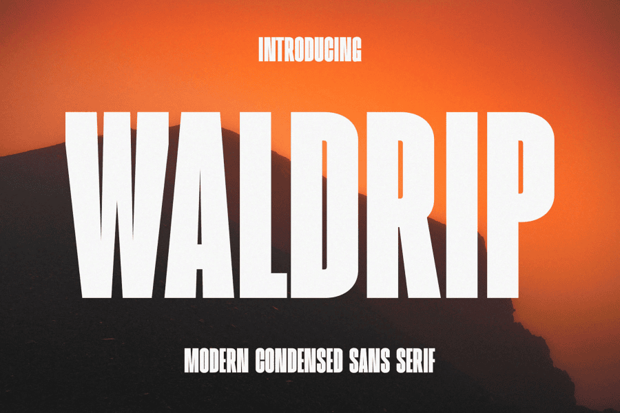 Waldrip Font · 1001 Fonts