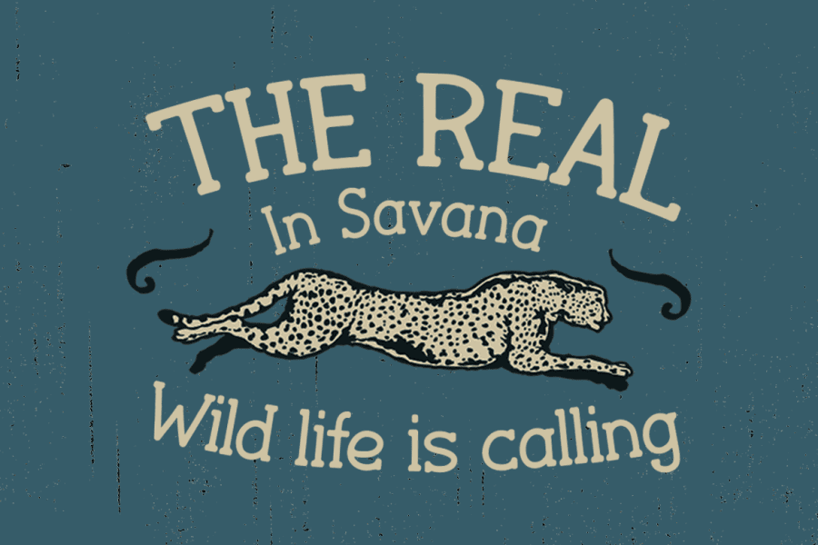 WANDERER Font · 1001 Fonts