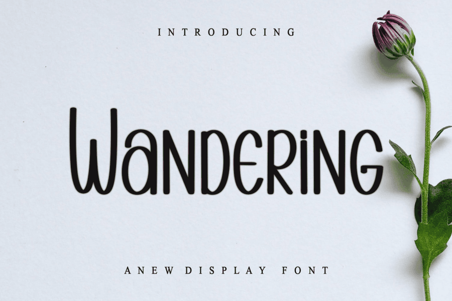 WANDERING Font · 1001 Fonts