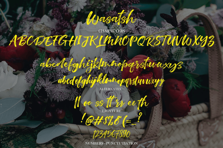 Wasatsh Brush Font Family · 1001 Fonts
