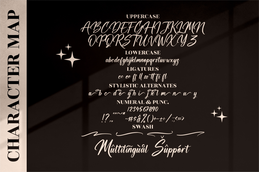 Washington Calligraphy Font Family · 1001 Fonts