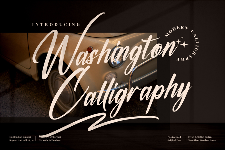 Washington Calligraphy Font Family · 1001 Fonts