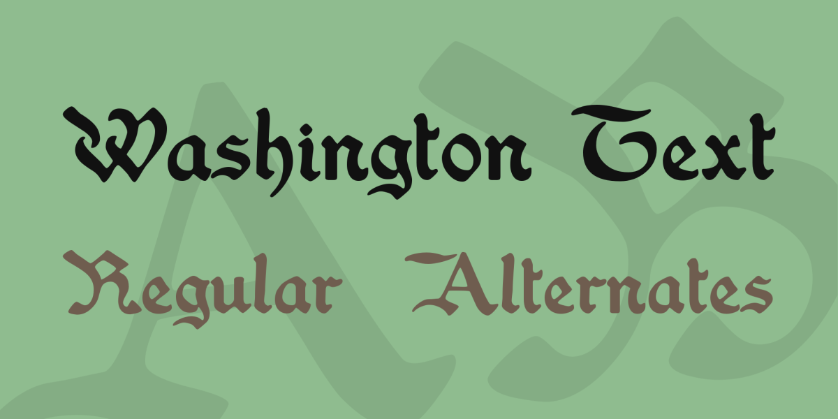 Washington Text Font Family · 1001 Fonts