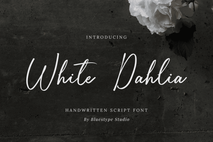 White Dahlia Font · 1001 Fonts