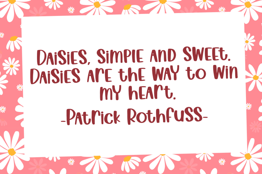 White Daisy Font · 1001 Fonts