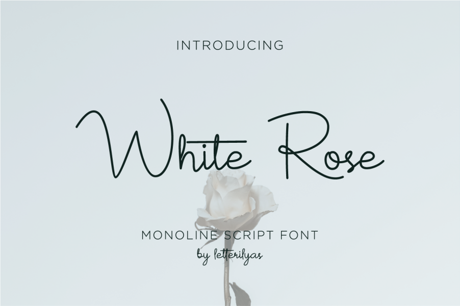 White Rose Font · 1001 Fonts