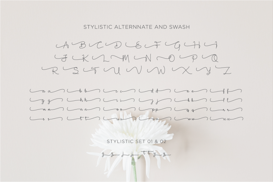 White Rose Font · 1001 Fonts