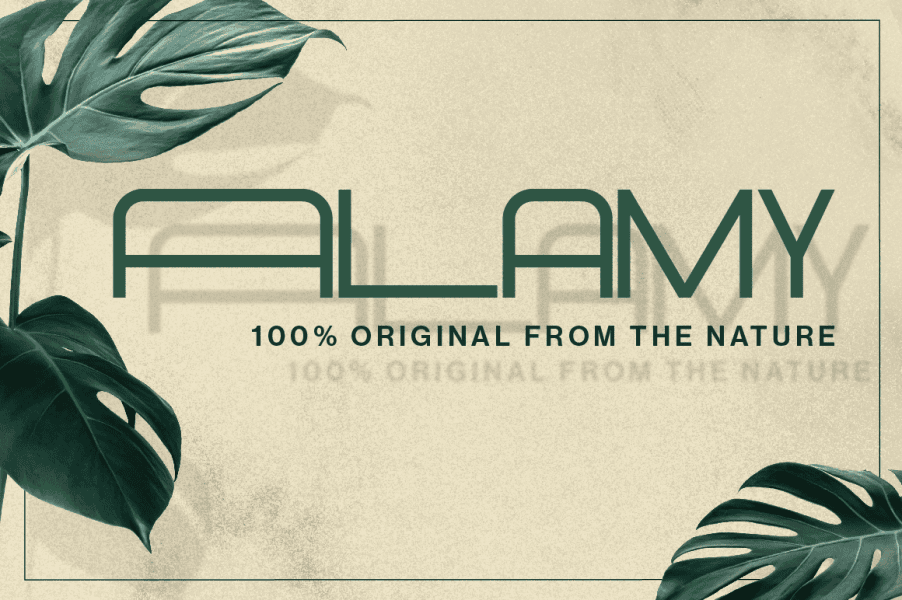 Whoomp DEMO Font · 1001 Fonts