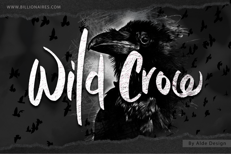 Wild Crow Font Family · 1001 Fonts