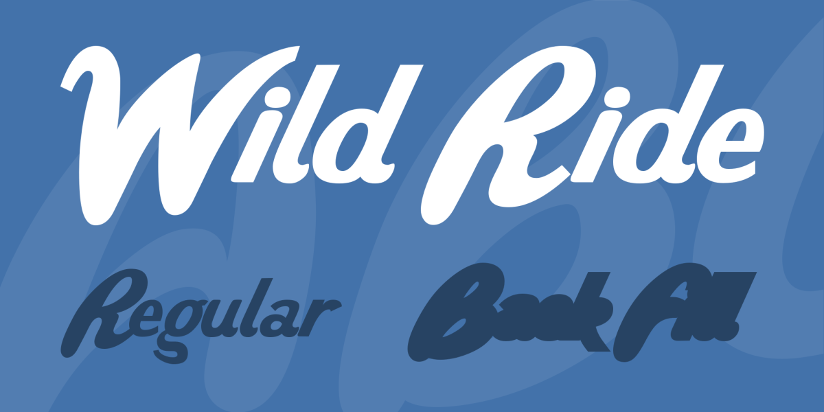 Wild Ride Font Family · 1001 Fonts