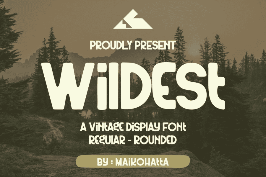 Wildest Font · 1001 Fonts