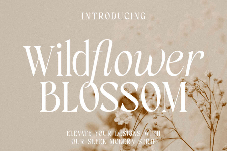 Wildflower Blossom DEMO Font · 1001 Fonts