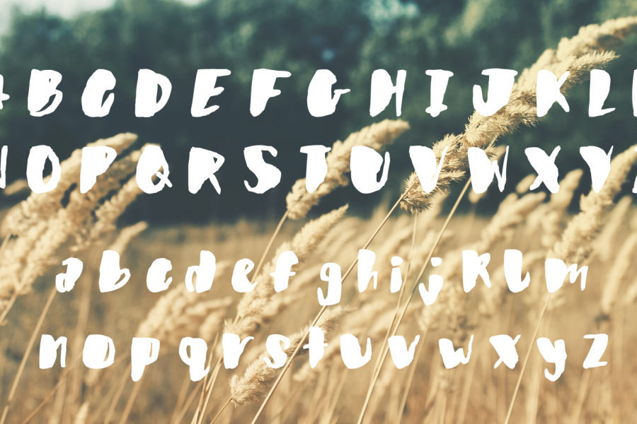 Wildflower Font · 1001 Fonts