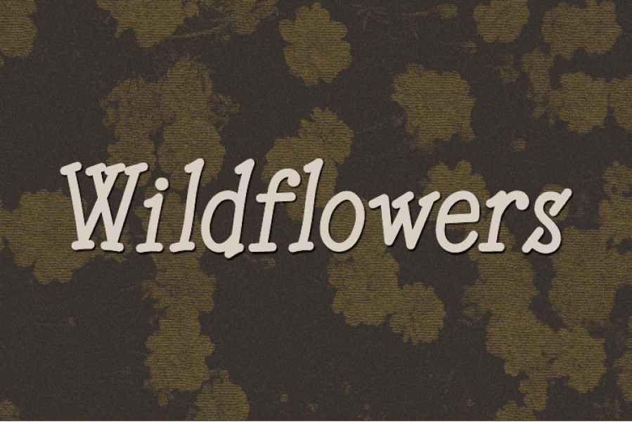 Wildflowers Font · 1001 Fonts