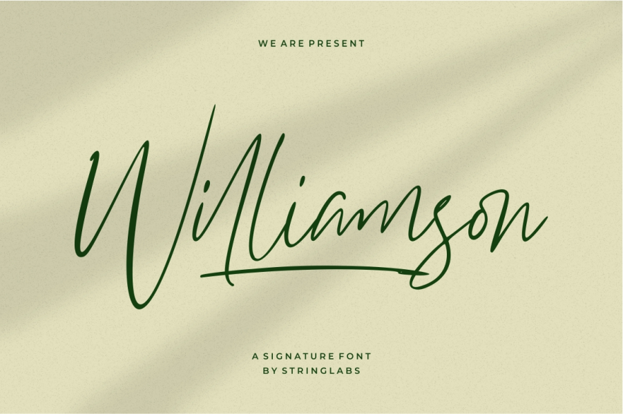 Williamson Font Family · 1001 Fonts