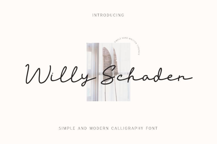 Willy Schaden DEMO Font · 1001 Fonts