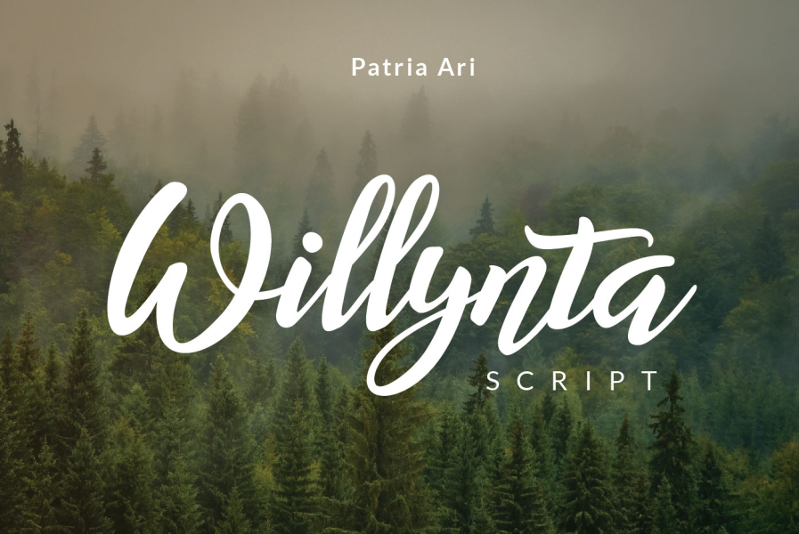 Willynta Font · 1001 Fonts