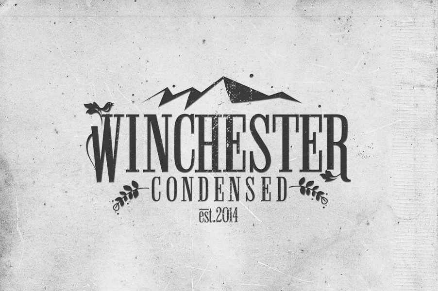 Winchester Font Family · 1001 Fonts