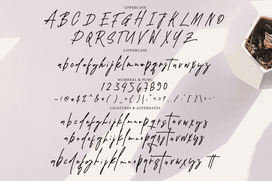 Windya Signature Font · 1001 Fonts