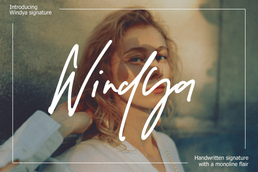 Windya Signature Font · 1001 Fonts