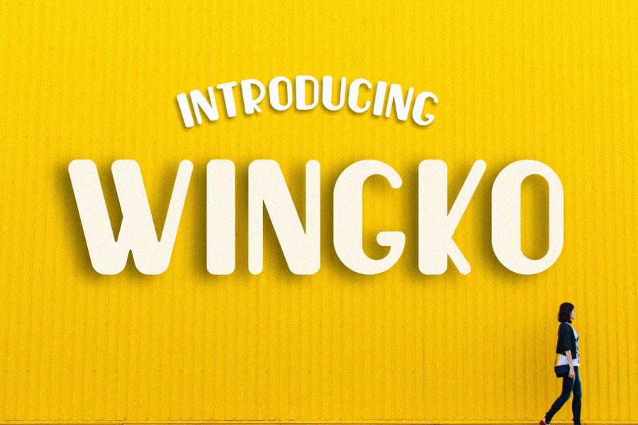 Wingko Demo Font · 1001 Fonts
