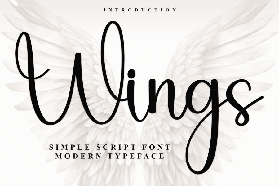 Wings Font · 1001 Fonts