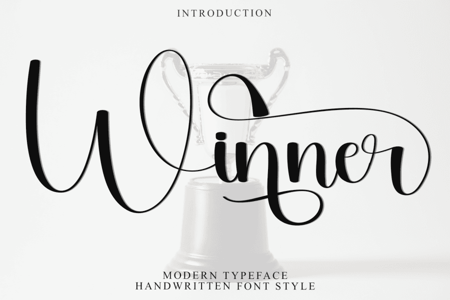 Winner Font · 1001 Fonts