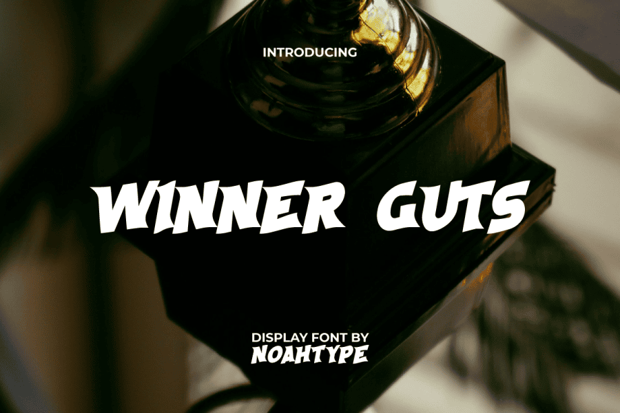 Winner Guts Demo Font · 1001 Fonts