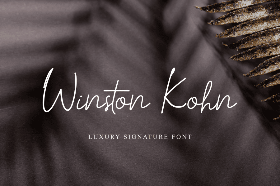 Winston Kohn Font · 1001 Fonts